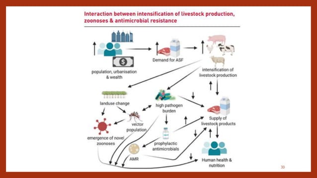 ONE HEALTH | PPTX | Infectious Diseases | Diseases and Conditions