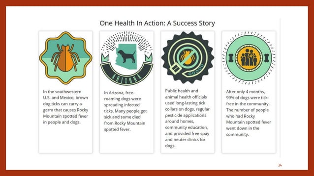 ONE HEALTH | PPTX | Infectious Diseases | Diseases and Conditions