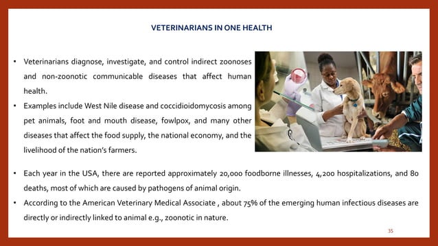 ONE HEALTH | PPTX | Infectious Diseases | Diseases and Conditions