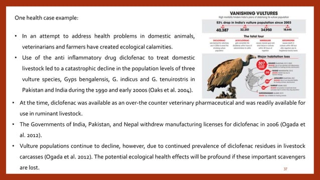 ONE HEALTH | PPTX | Infectious Diseases | Diseases and Conditions