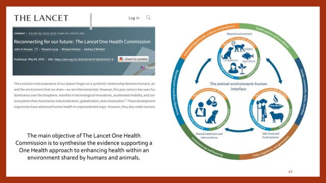 ONE HEALTH | PPTX | Infectious Diseases | Diseases and Conditions