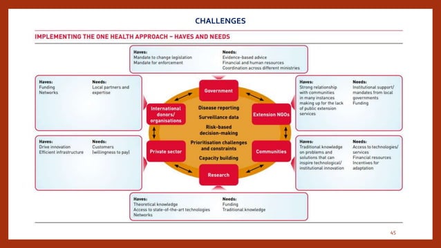 ONE HEALTH | PPTX | Infectious Diseases | Diseases and Conditions