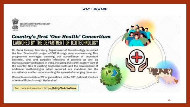 ONE HEALTH | PPTX | Infectious Diseases | Diseases and Conditions