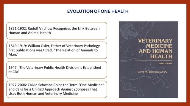 ONE HEALTH | PPTX | Infectious Diseases | Diseases and Conditions