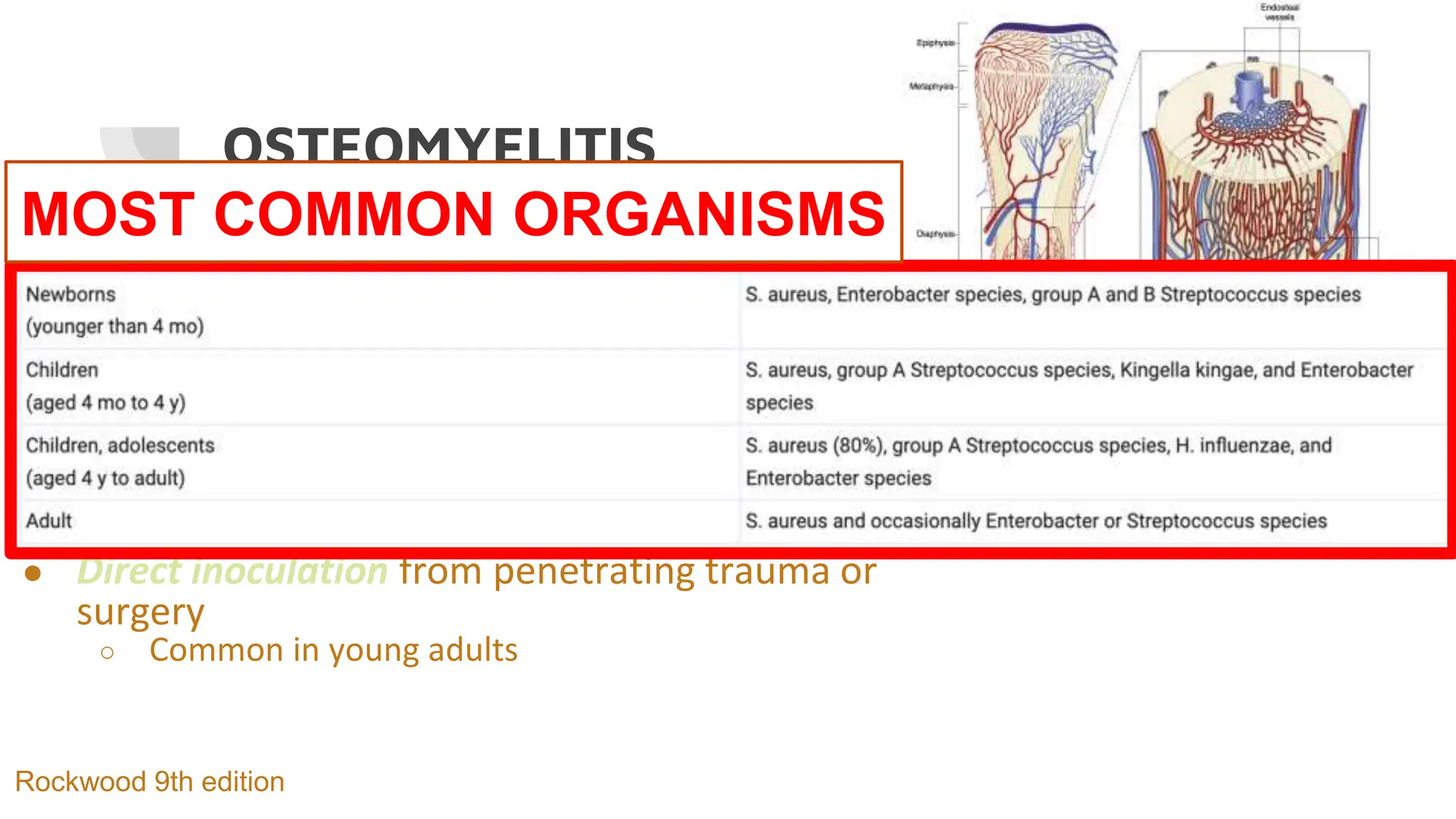 11 - Osteomyelitis - Imperial 2.pptx…….. | PPTX
