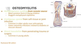 11 - Osteomyelitis - Imperial 2.pptx…….. | PPTX