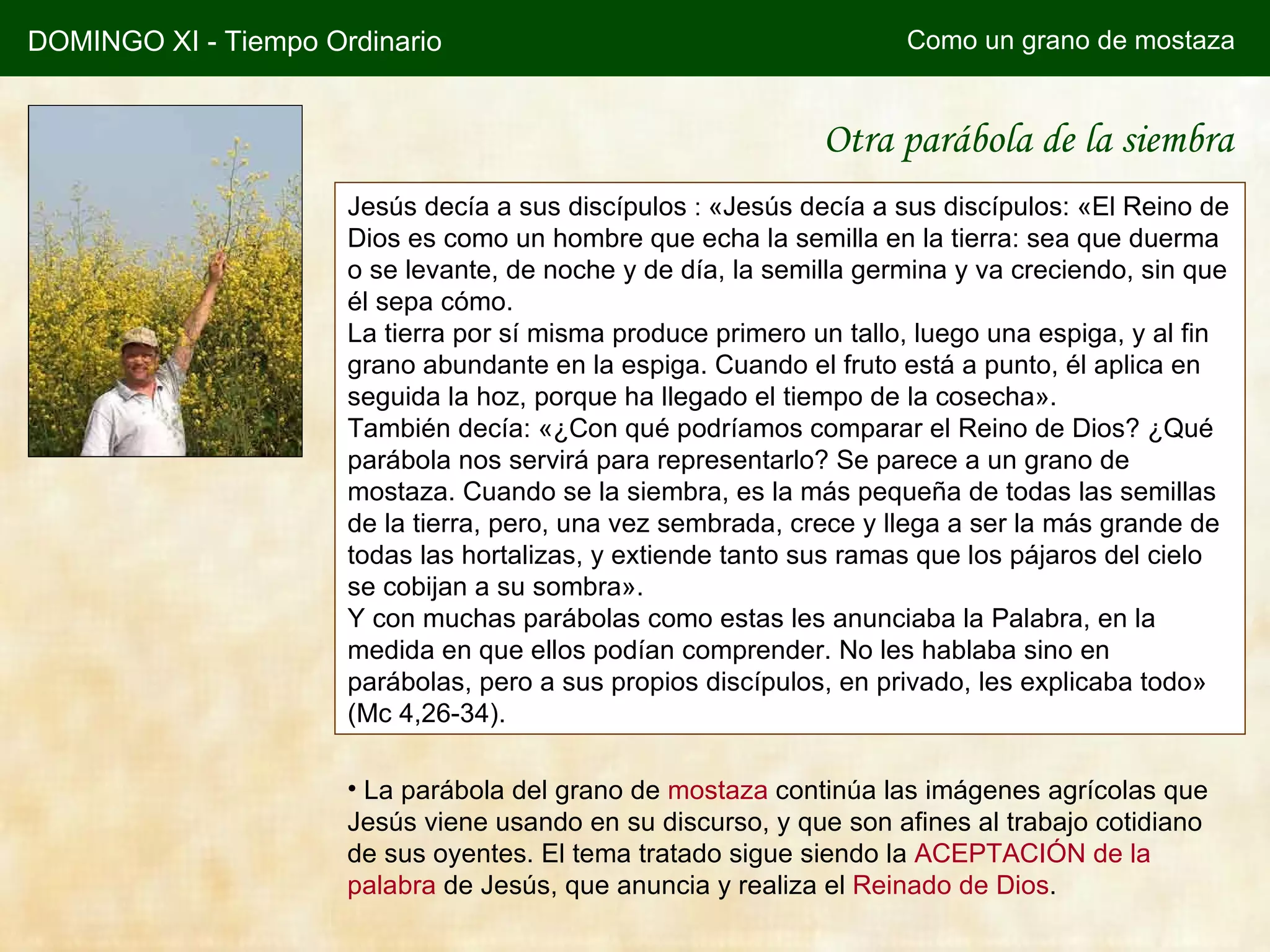 11. pequeño como un grano de mostaza | PPS | Christianity | Religion ...