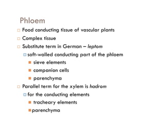 Lesson 11 bio101 (c)Dr. Evangelista | PPT