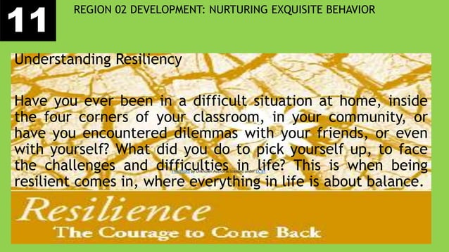 11-RDNEB-PPT.pptx | Mental Health | Diseases and Conditions