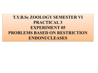 Problems of Restriction Endonuclease enzymes | PPT