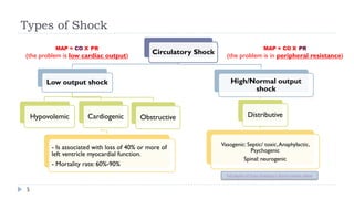 11- Shock.pdf