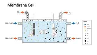 11 soda-ash-and-caustic-soda-manufacture | PPT