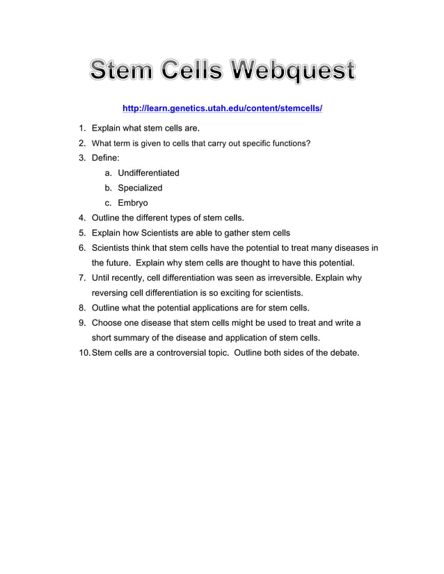 Stem Cells Webquest | PDF
