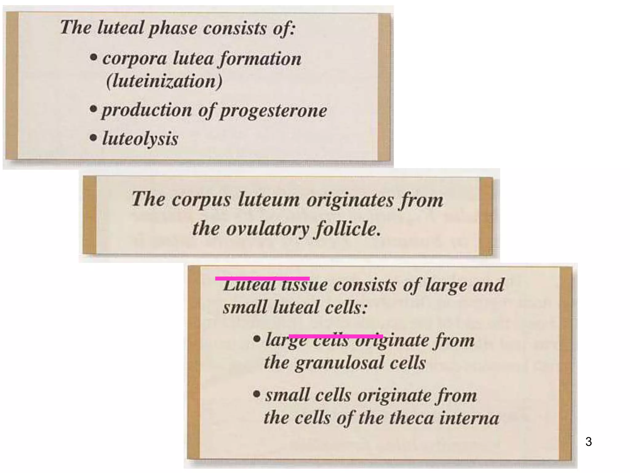 11 ther 608 estrous cycle luteal phase & synchronization | PPT