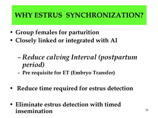 11 ther 608 estrous cycle luteal phase & synchronization | PPT