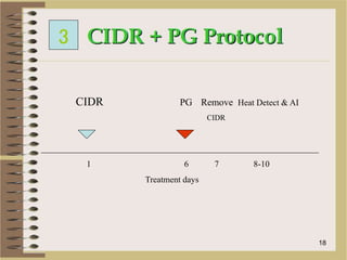 11 ther 608 estrous cycle luteal phase & synchronization | PPT