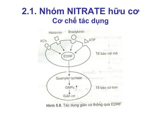 11 thuoc dtri tmct | PPT