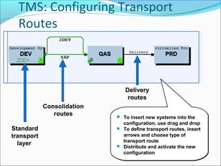 11 transport-system | PPT