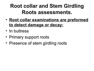 11 Tree Risk Inspection And Use Of Specialized Diagnostic2 | PPT
