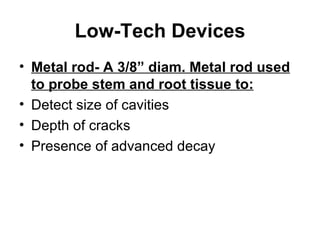 11 Tree Risk Inspection And Use Of Specialized Diagnostic2 | PPT