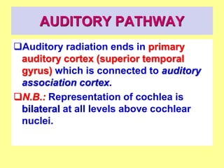 11- vestibulocochlear pathways.pdfmmmmmmmm | PPT