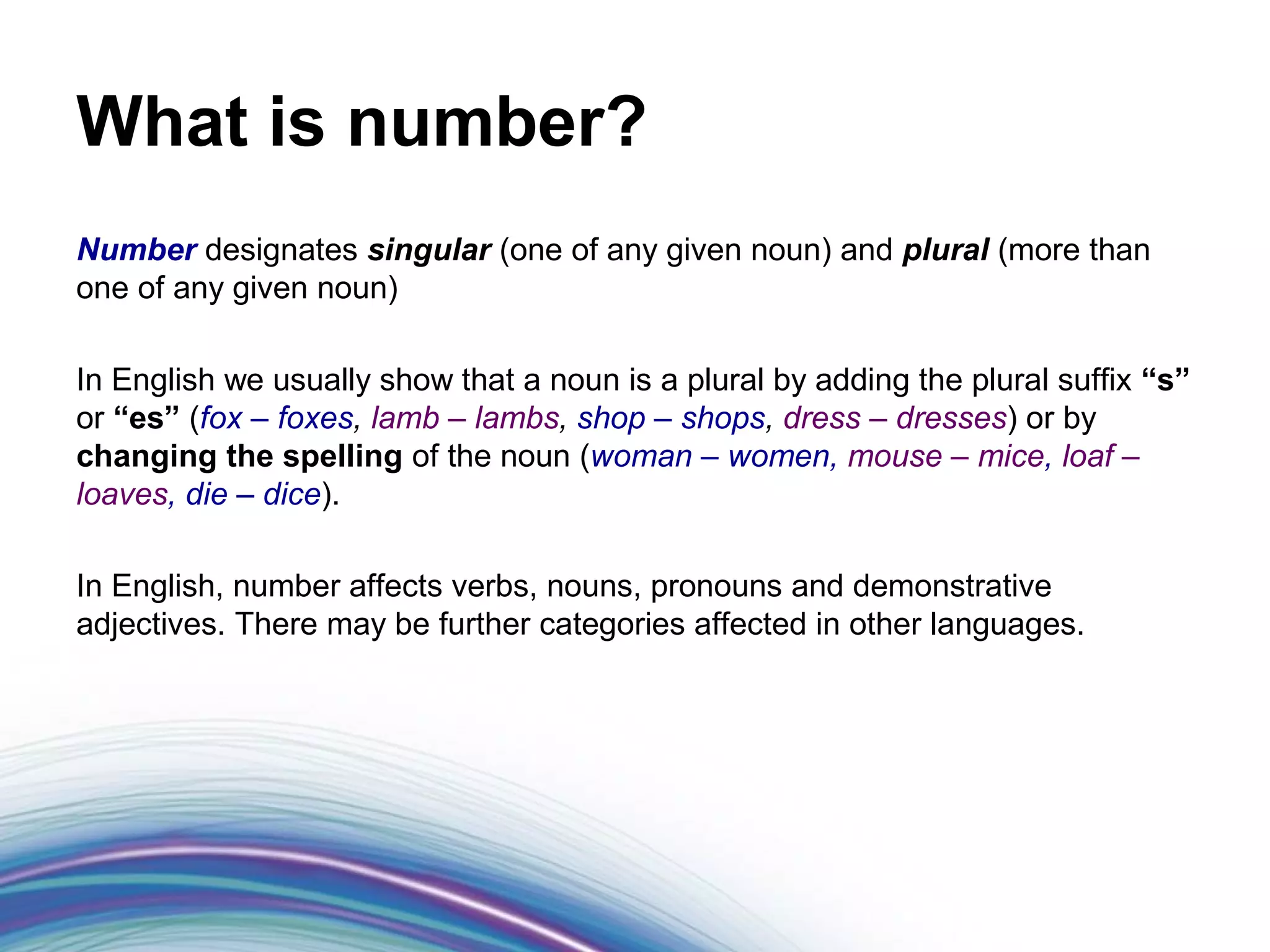 Foundations of Grammar 11: What is a noun? | PPT