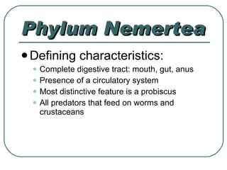 11. Worm Phyla Notes | PPT