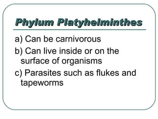 11. Worm Phyla Notes | PPT