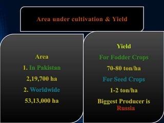 Production Technologies of Oats | PPTX