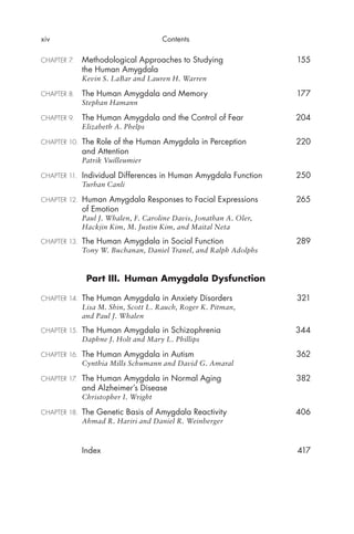 The Human Amygdala Phelps Elizabeth A Whalen Paul J | PDF