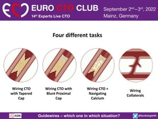 Erik Rafflenbeul: Guidewires – which one in which situation? | PPTX