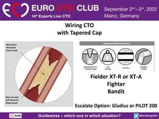 Erik Rafflenbeul: Guidewires – which one in which situation? | PPTX