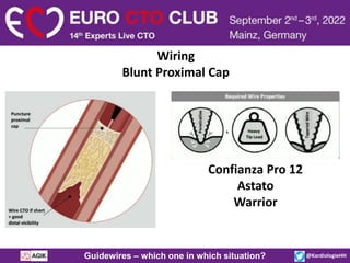 Erik Rafflenbeul: Guidewires – which one in which situation? | PPTX