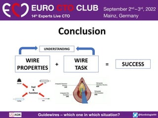 Erik Rafflenbeul: Guidewires – which one in which situation? | PPTX
