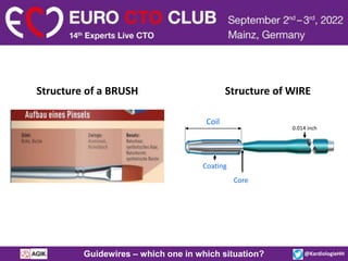 Erik Rafflenbeul: Guidewires – which one in which situation? | PPTX