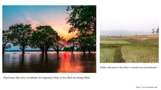 11_02_2023_WETLAND are ecological hubs.pptx