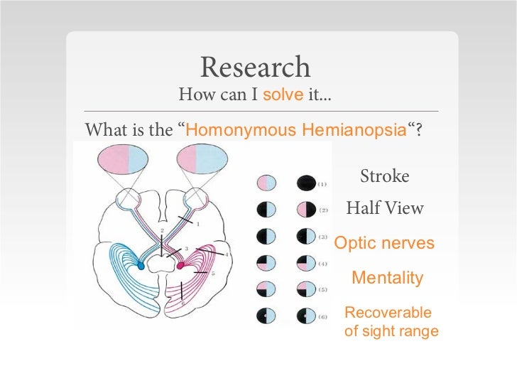 Field Research 24/02/11