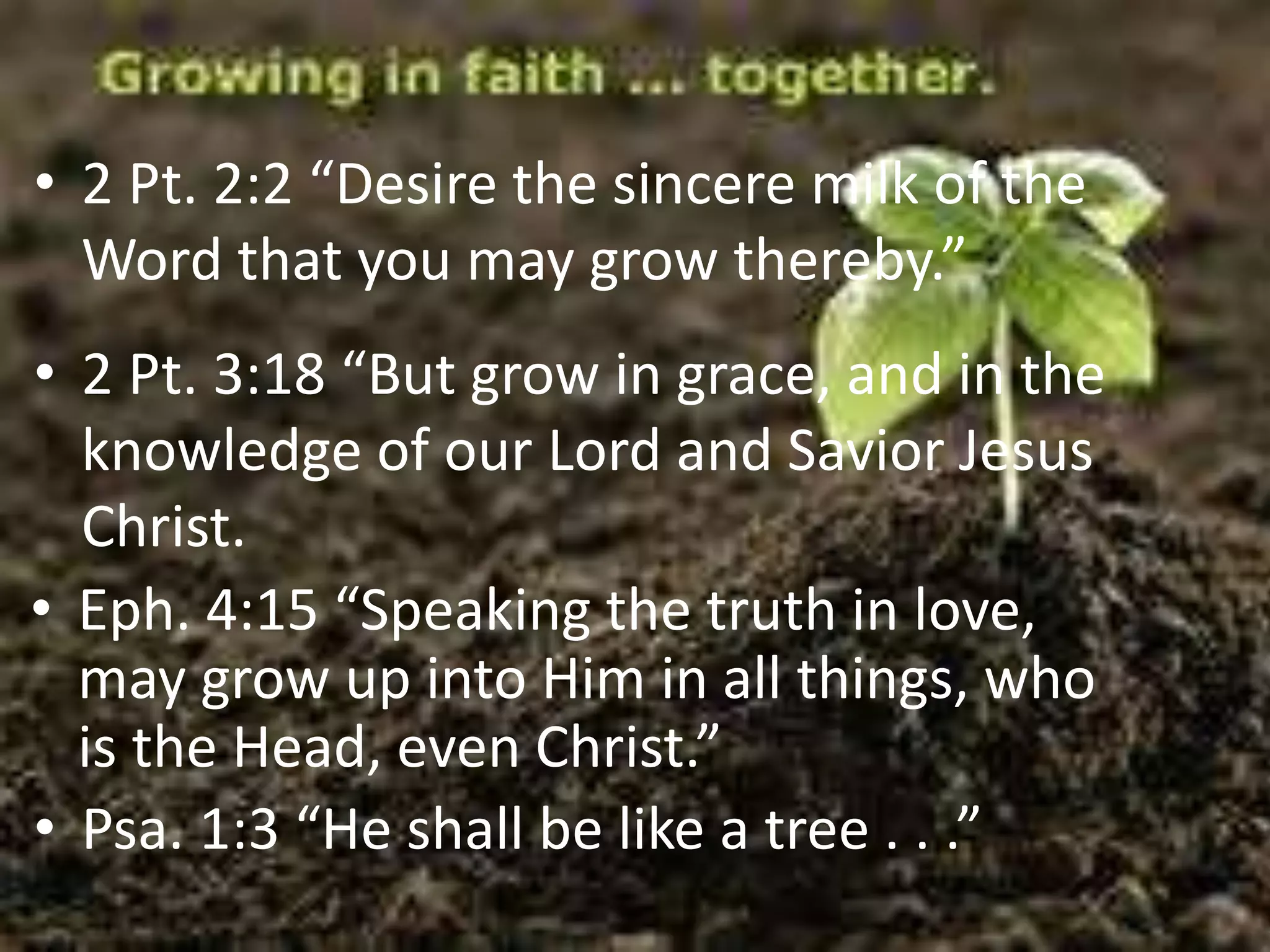 Steps to Maturity | PPT