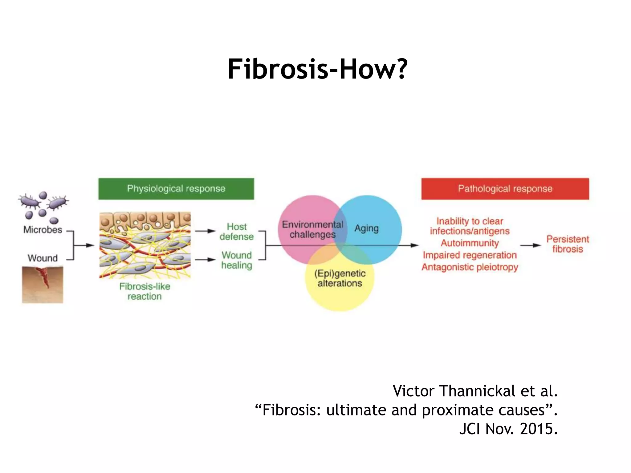 Fibrotic Diseases | PPTX