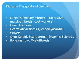 Fibrotic Diseases | PPTX