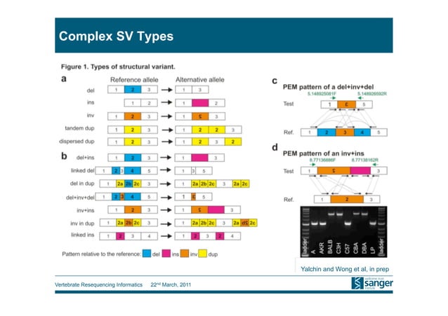 Enhanced Structural Variant And Breakpoint Detection Using Svmerge By