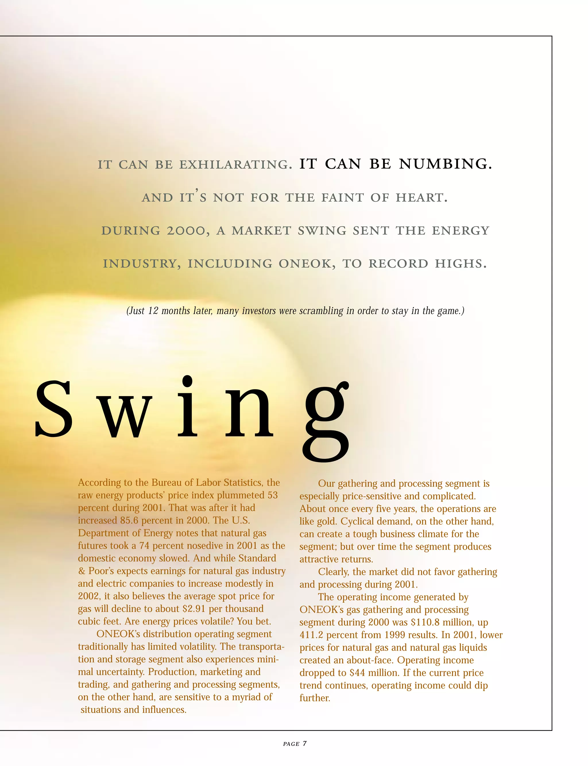 oneok 2001 Annual Report | PDF