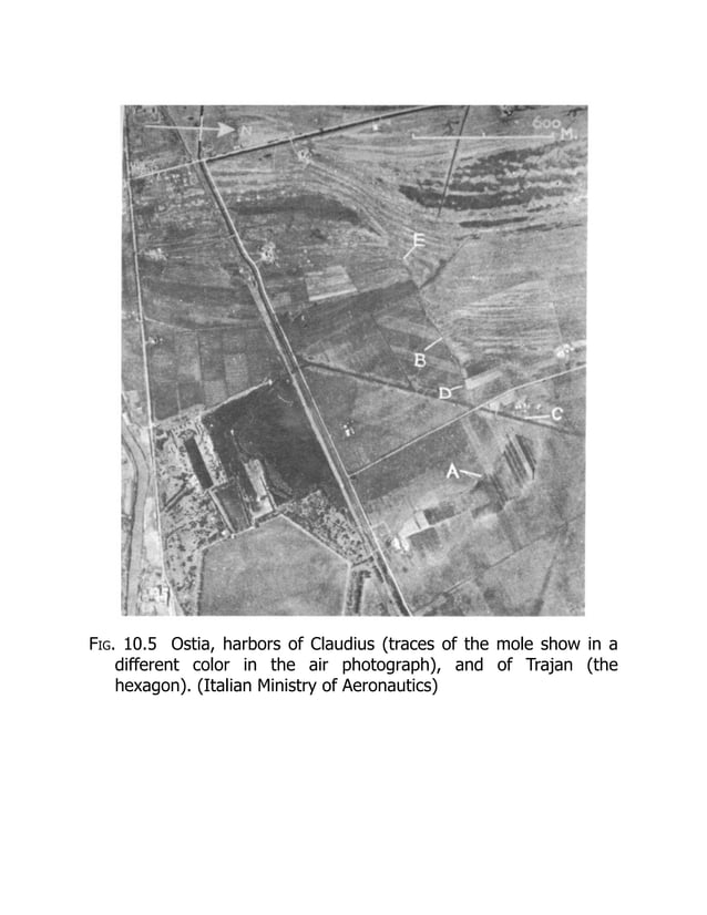 Biochemistry 8th Edition Campbell Solutions Manual | PDF