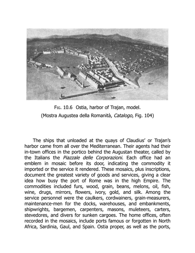 Biochemistry 8th Edition Campbell Solutions Manual | PDF