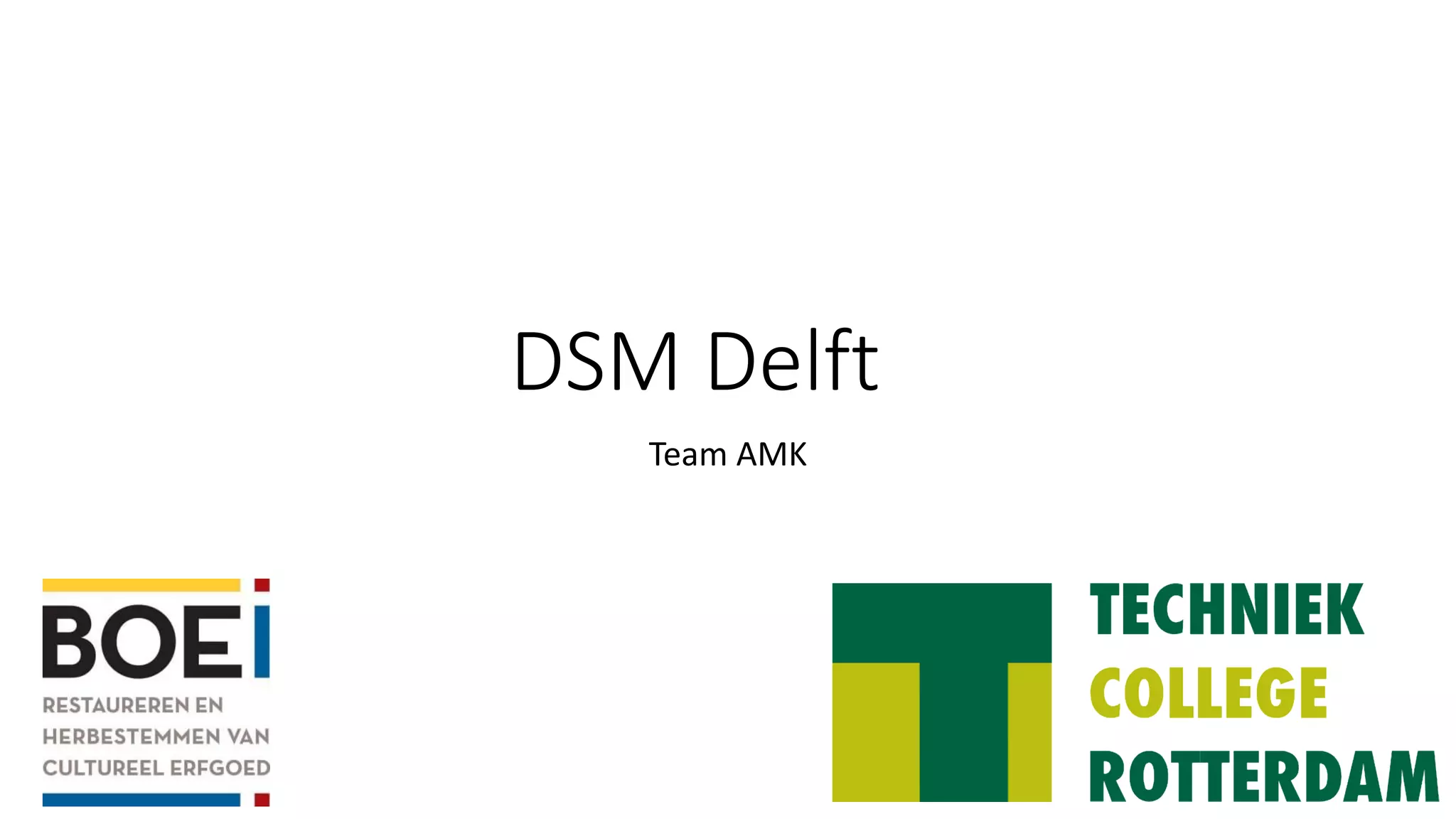 DSM Delft team AMK | PPTX