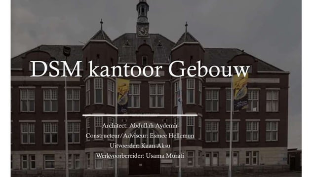 DSM Delft team AMK | PPT