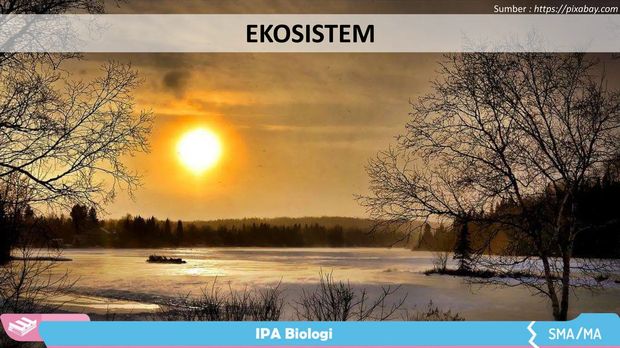 Ecosistem biology environment for junior high school 8 | PPTX