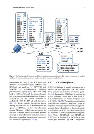 Histone Mutations And Cancer Dong Fang Junhong Han | PDF