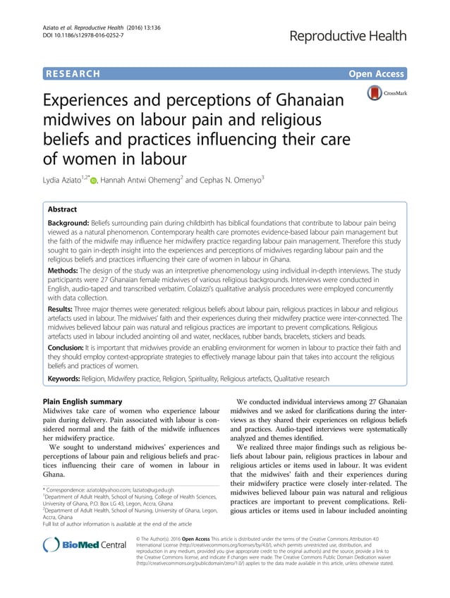 Midwives Labour Pain Perceptions | PDF