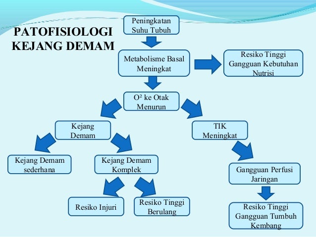 kejang-demam-terbaru-presentasi-ppt